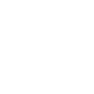 About us – Pendulum Holdings